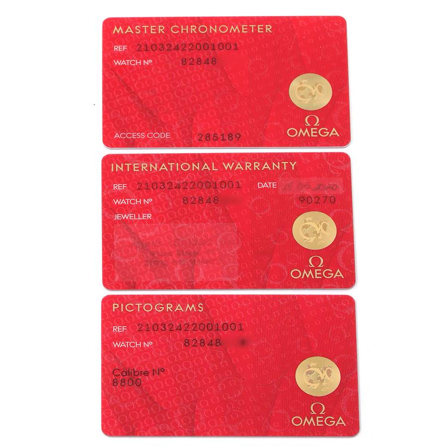 Omega Seamaster Stainless Steel 210.32.42.20.01.001 | Stock 41810 ...