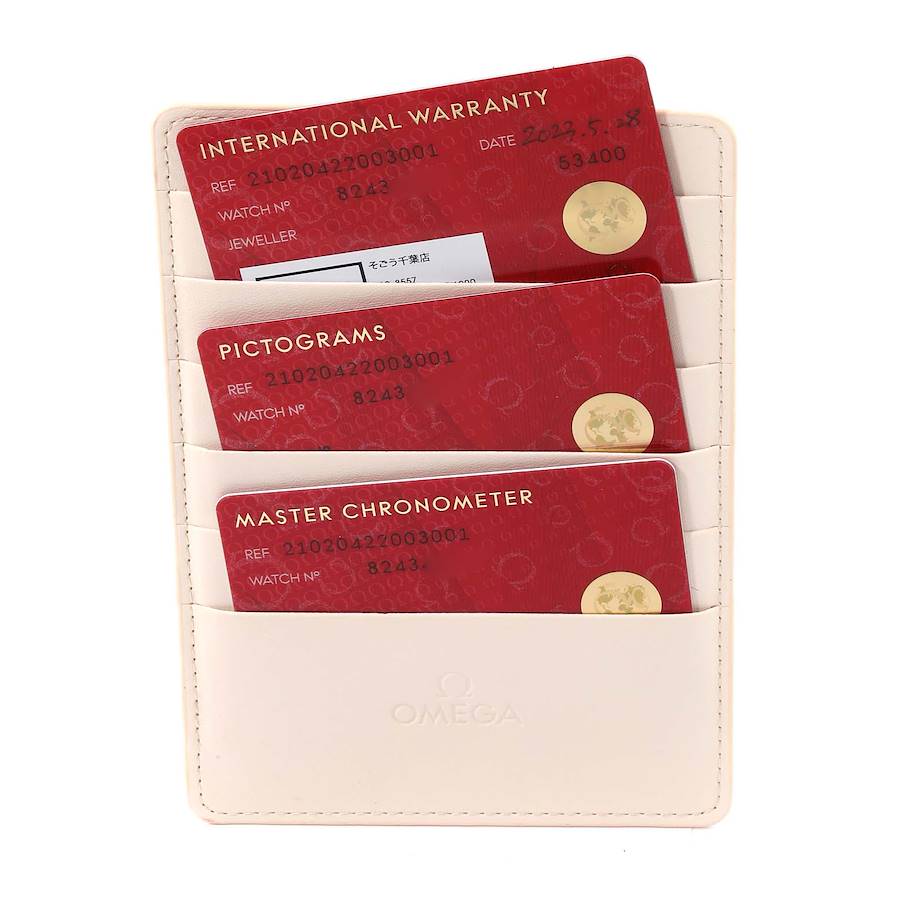 Omega Seamaster Steel and Gold (two tone) 210.20.42.20.03.001 | Stock ...