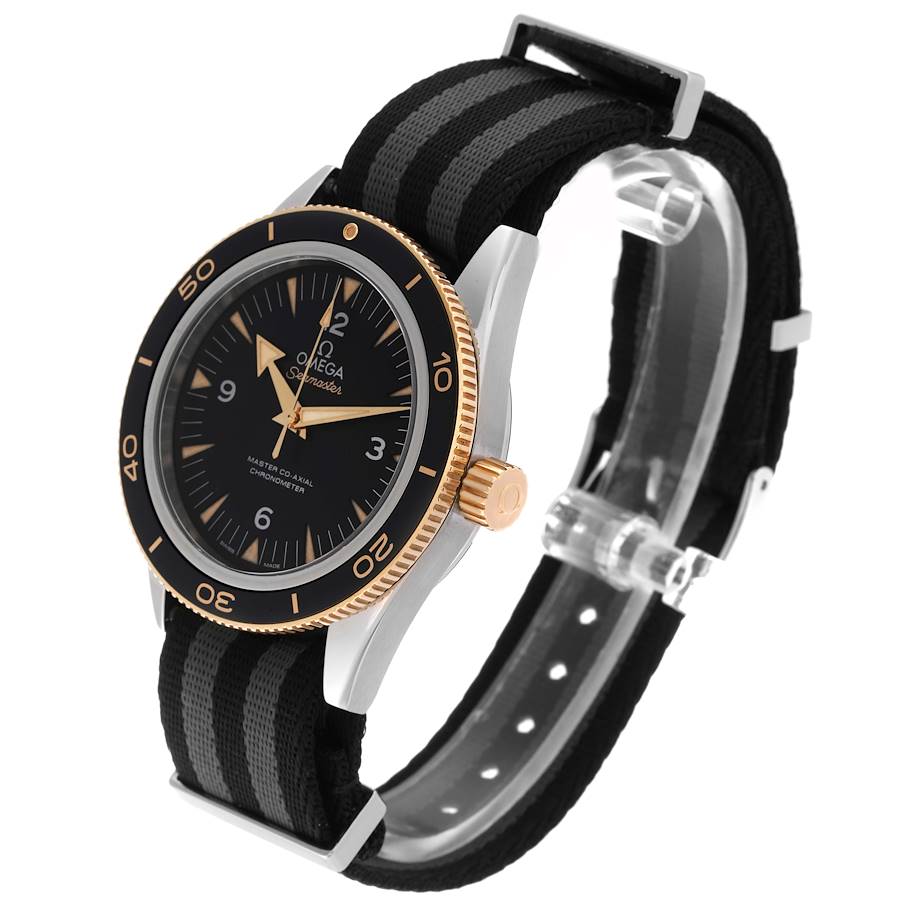 Omega Seamaster Steel and Gold (two tone) 233.22.41.21.01.001 ...