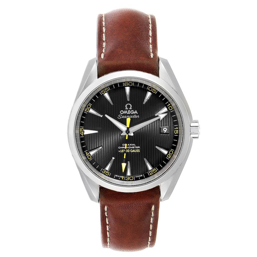 Omega Aqua Terra Co-Axial 15000 Gauss Steel Mens Watch 231.12.42.21.01 ...