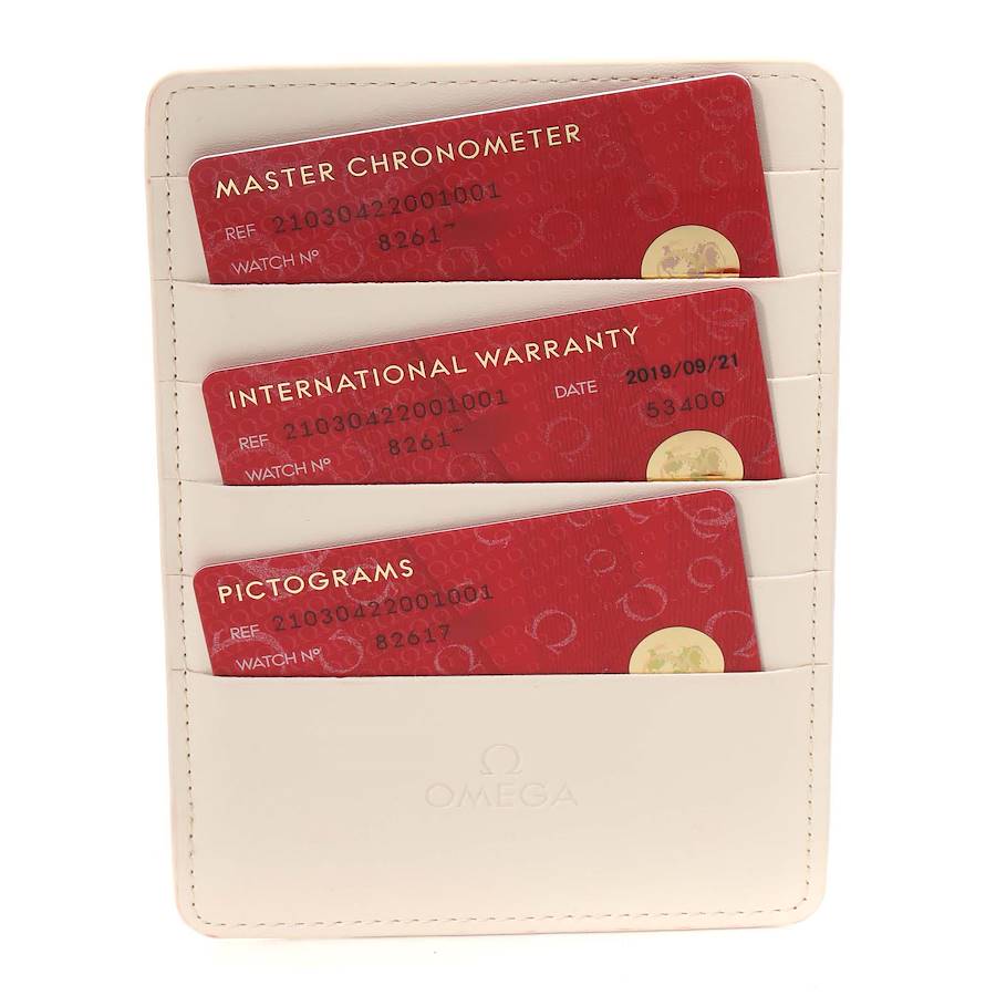 Omega Seamaster Stainless Steel 210.30.42.20.01.001 | Stock 34268 ...