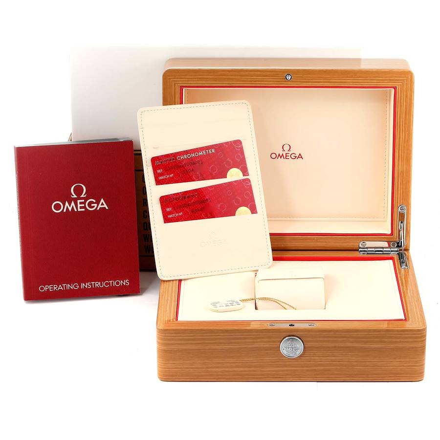 Omega Seamaster Stainless Steel 210.30.42.20.06.001 | Stock 44376 ...
