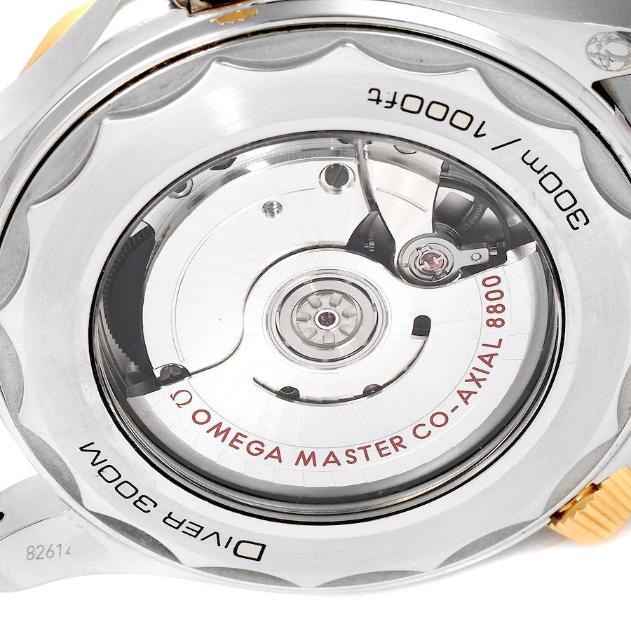 Omega Seamaster Steel and Gold (two tone) 210.20.42.20.01.002 ...
